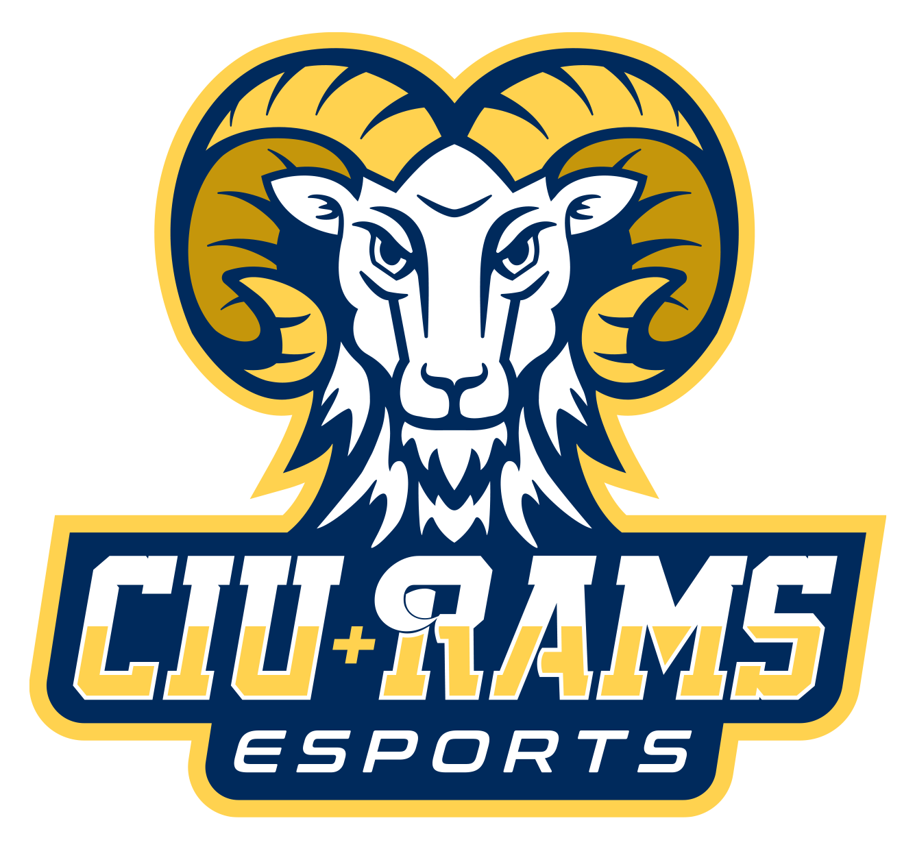 Columbia International University | Stay Plugged In